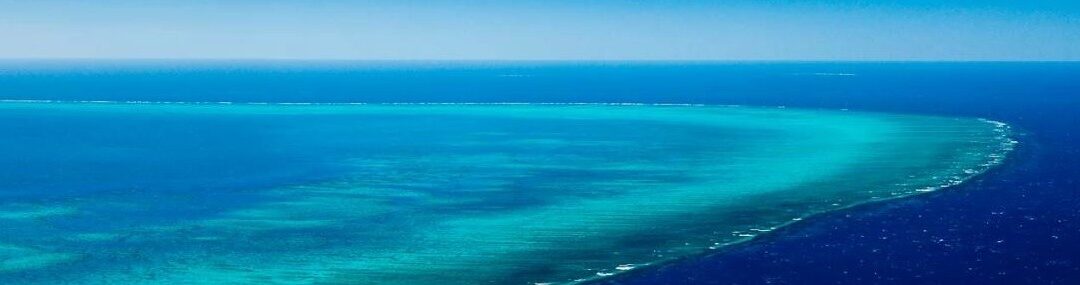 Arlington-Reef - Tourism Atherton Tablelands