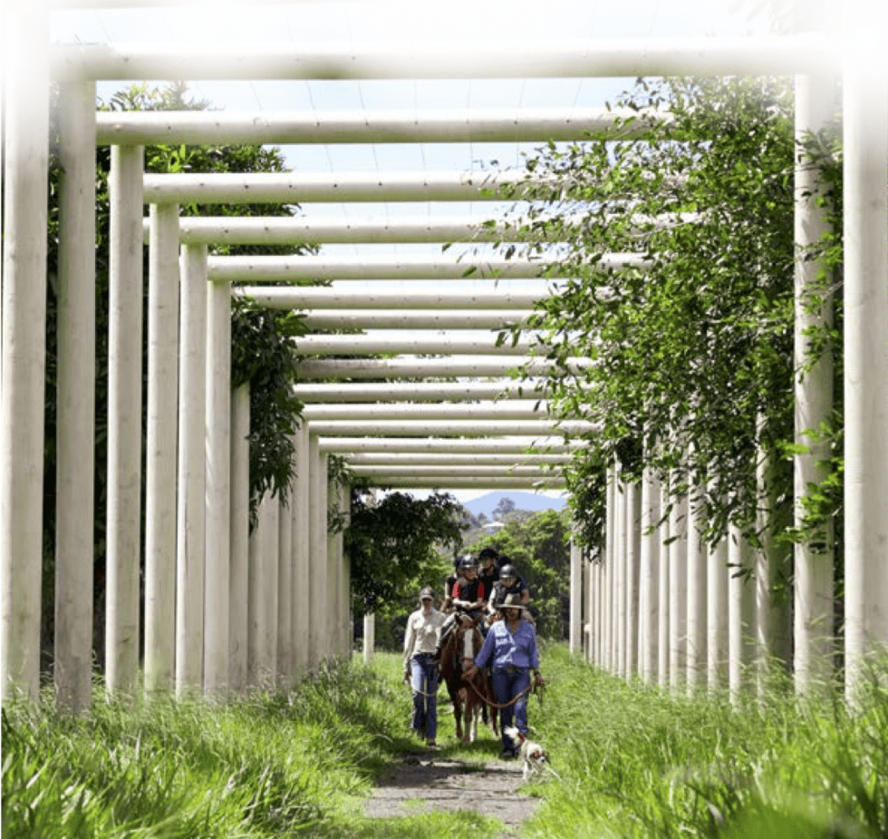 Atherton Tablelands Touring Map focus on Self-Drive Family Market ...